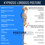 Guide to Plumb Line Assessment for Posture - Physiogain